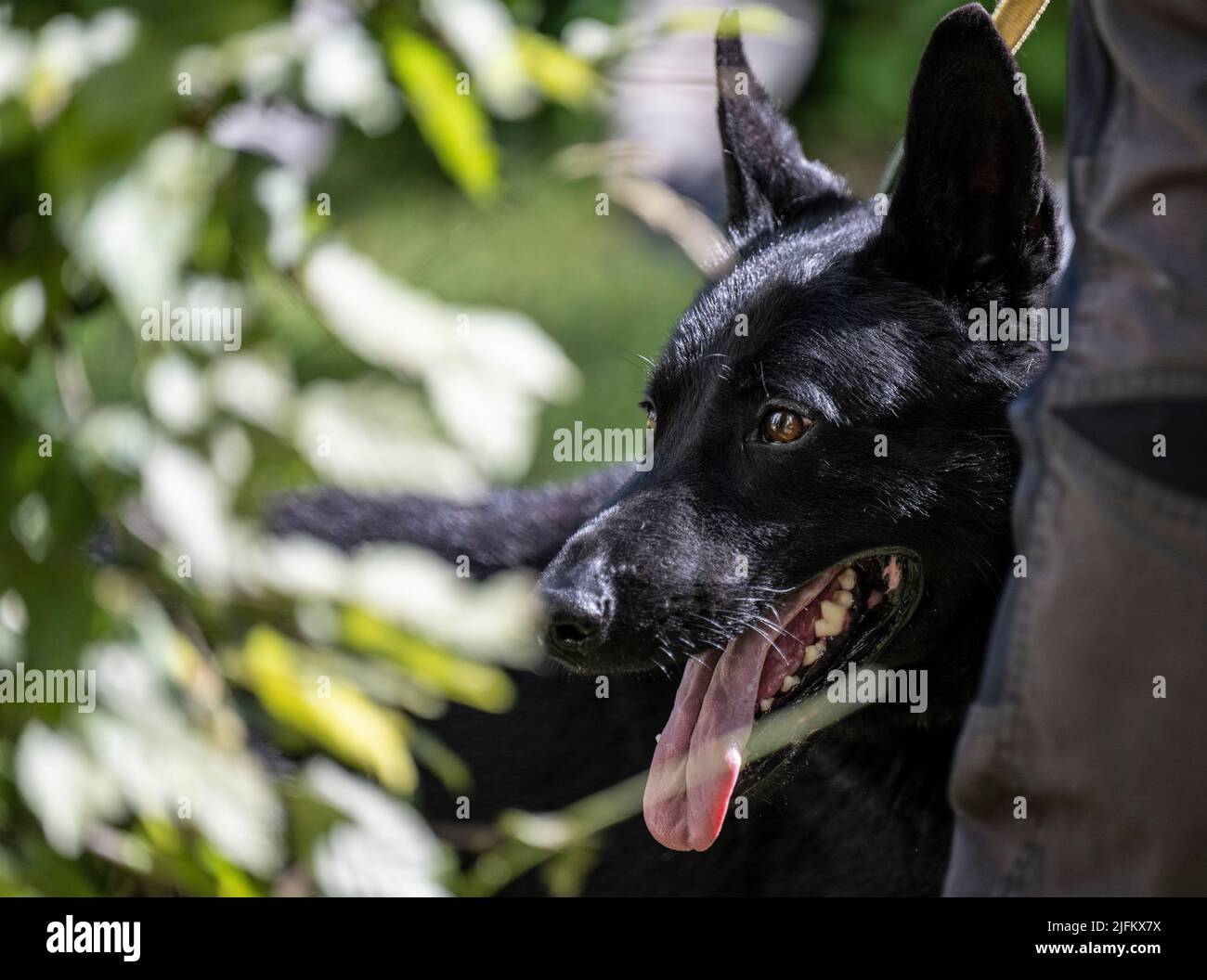 Test four year old hi-res stock photography and images - Alamy