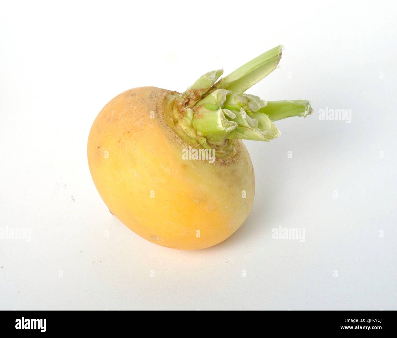 Young turnip hi-res stock photography and images - Alamy