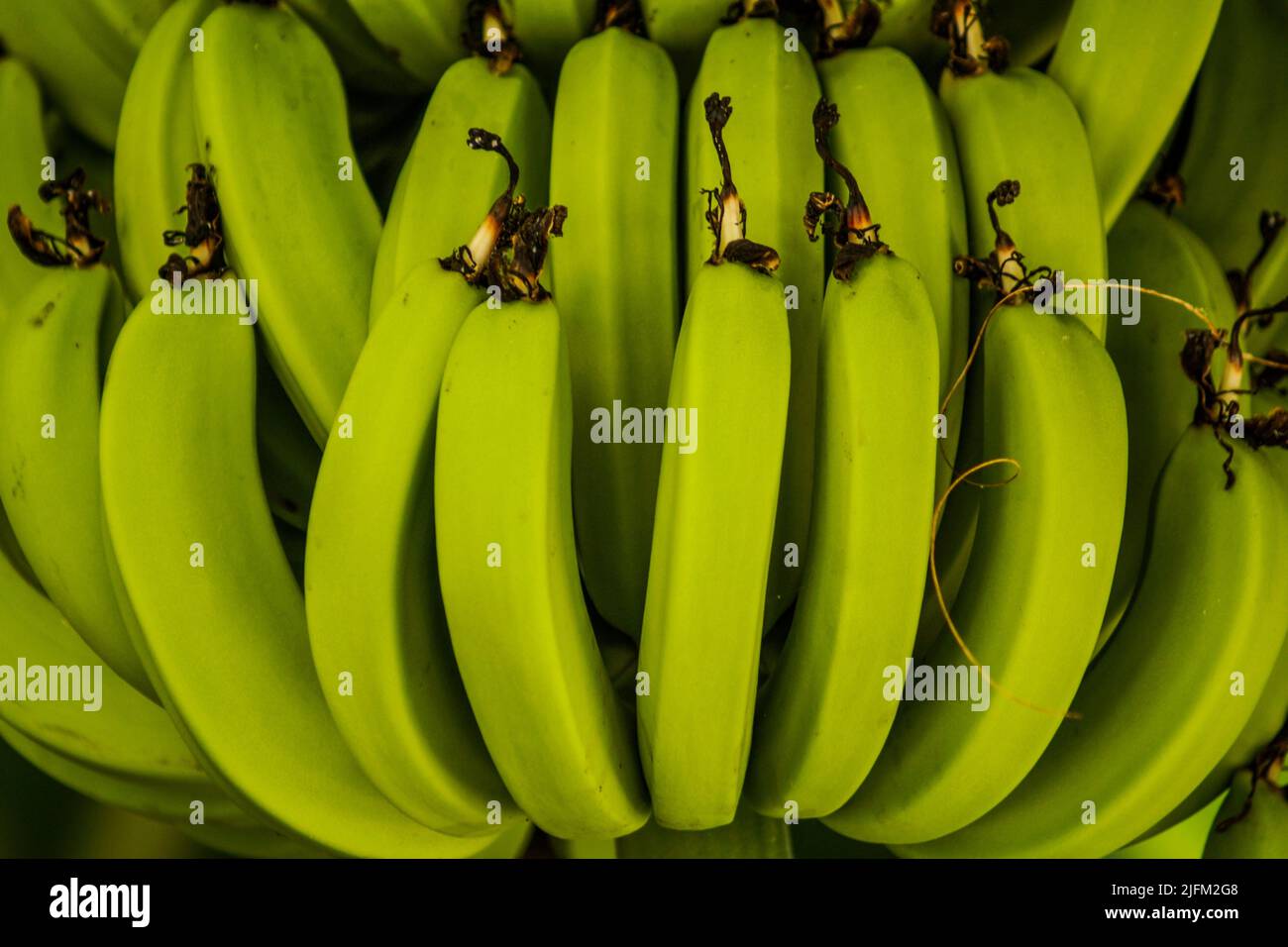 United states growing hi-res stock photography and images - Alamy