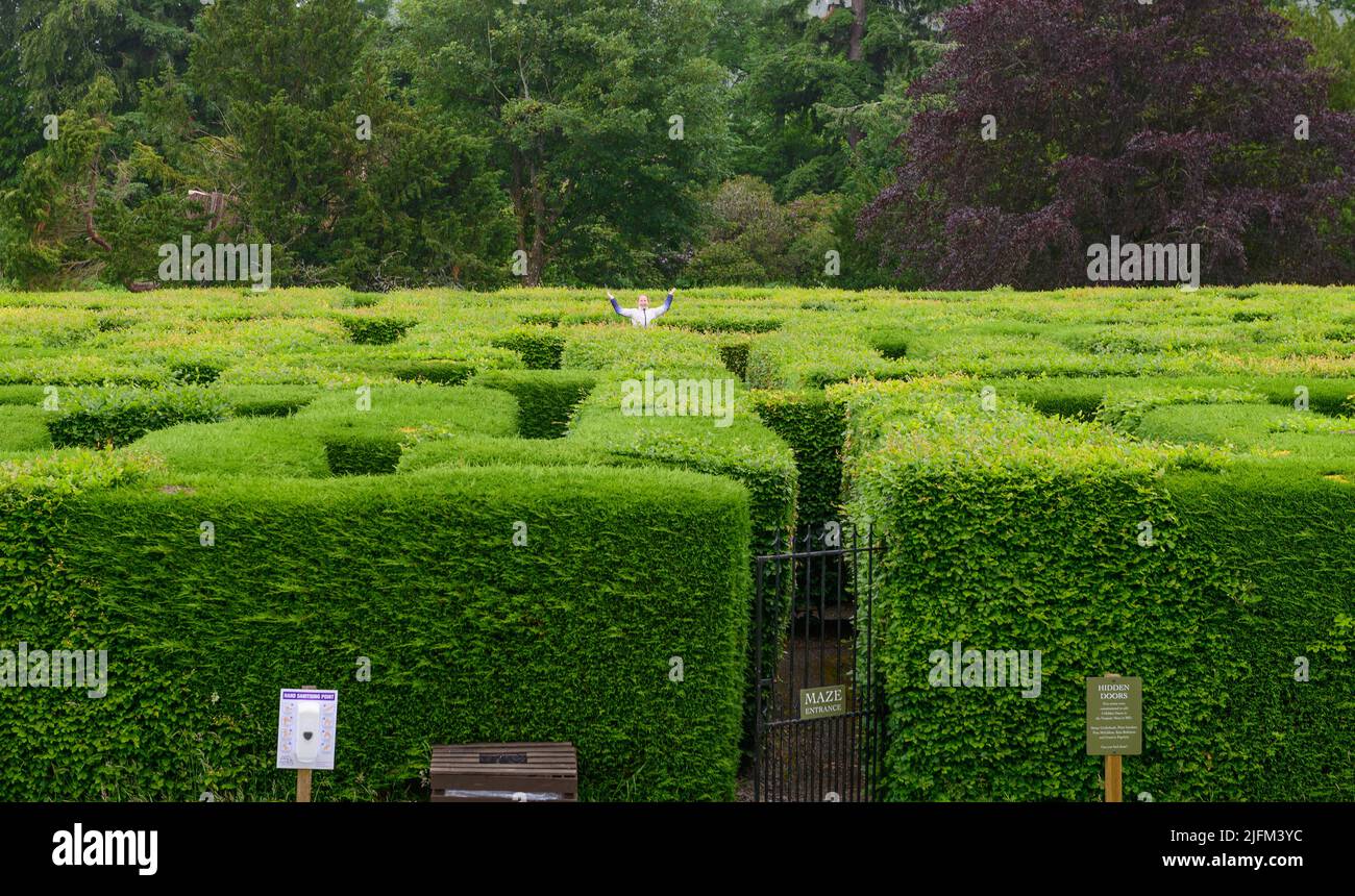 Traquair Maze at Traquair House near Innerleithen in The Scottish ...
