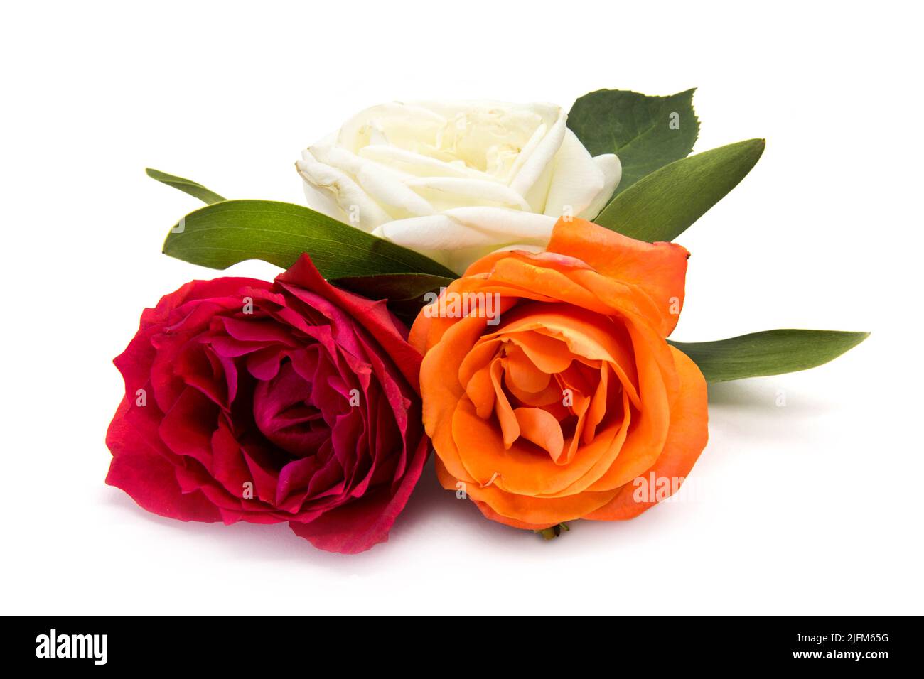 Beautiful pink, red and white roses bouquet isolated on white ...