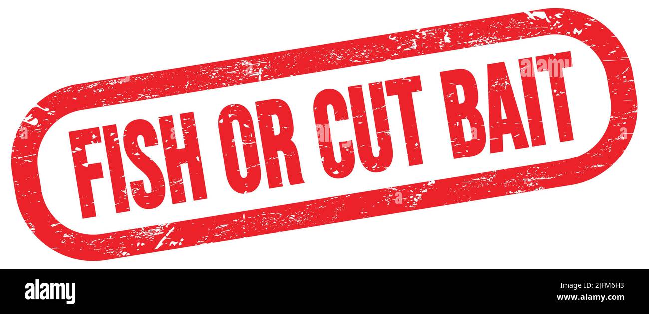 FISH OR CUT BAIT, text on red rectangle stamp sign Stock Photo - Alamy