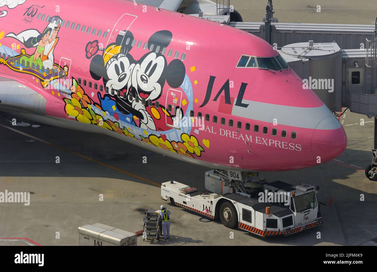The JAL Jumbo Jet to commemorate Mikey Mouse and Disney world was ...