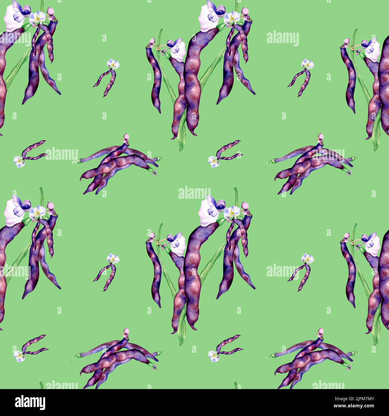 String beans illustration hi-res stock photography and images - Alamy