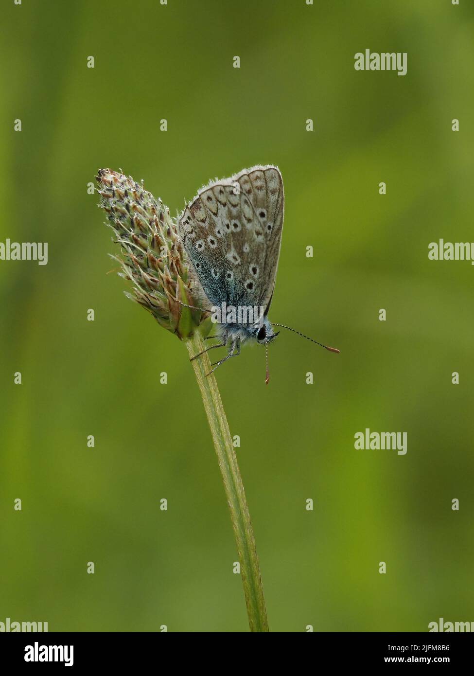 Parks and gardens common hi-res stock photography and images - Alamy