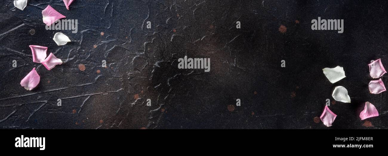 Floral panorama with rose petals on a black background, overhead flat ...