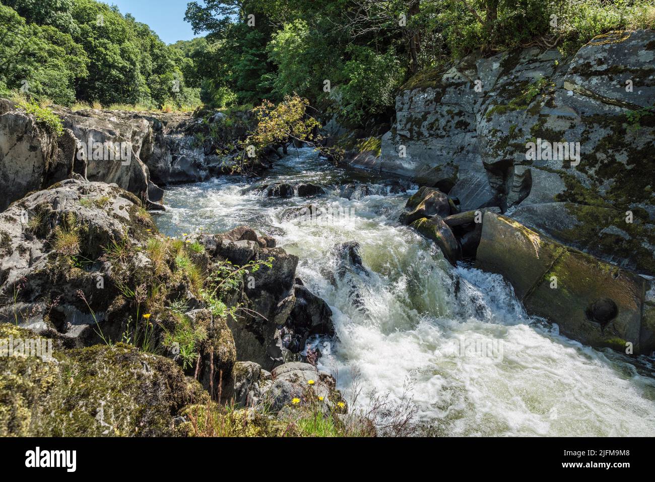 Cenarth Falls, Ceredigion, Wales Stock Photo - Alamy