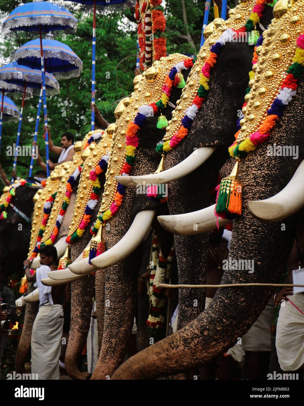 Thrissur pooram india kerala hi-res stock photography and images - Alamy