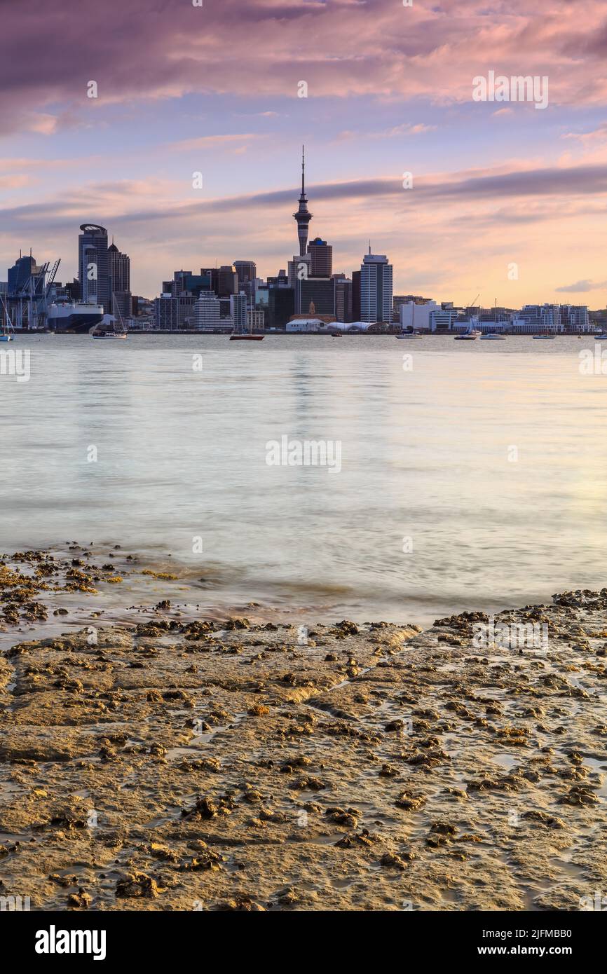 The skyline of Auckland, New Zealand at sunset, seen from a Stanley Bay ...