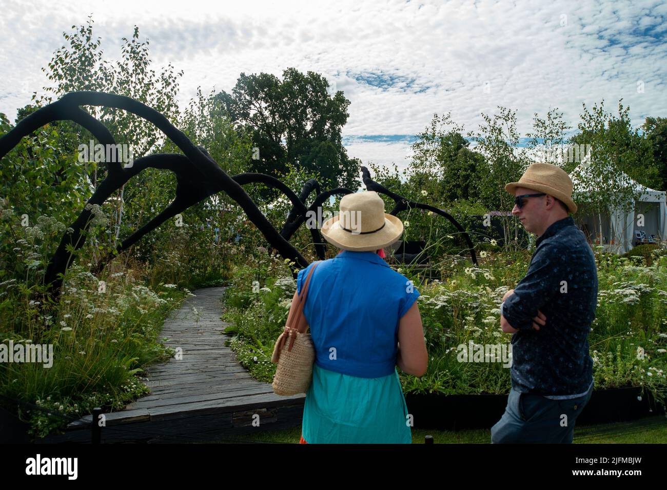 Dementia flower hi-res stock photography and images - Alamy