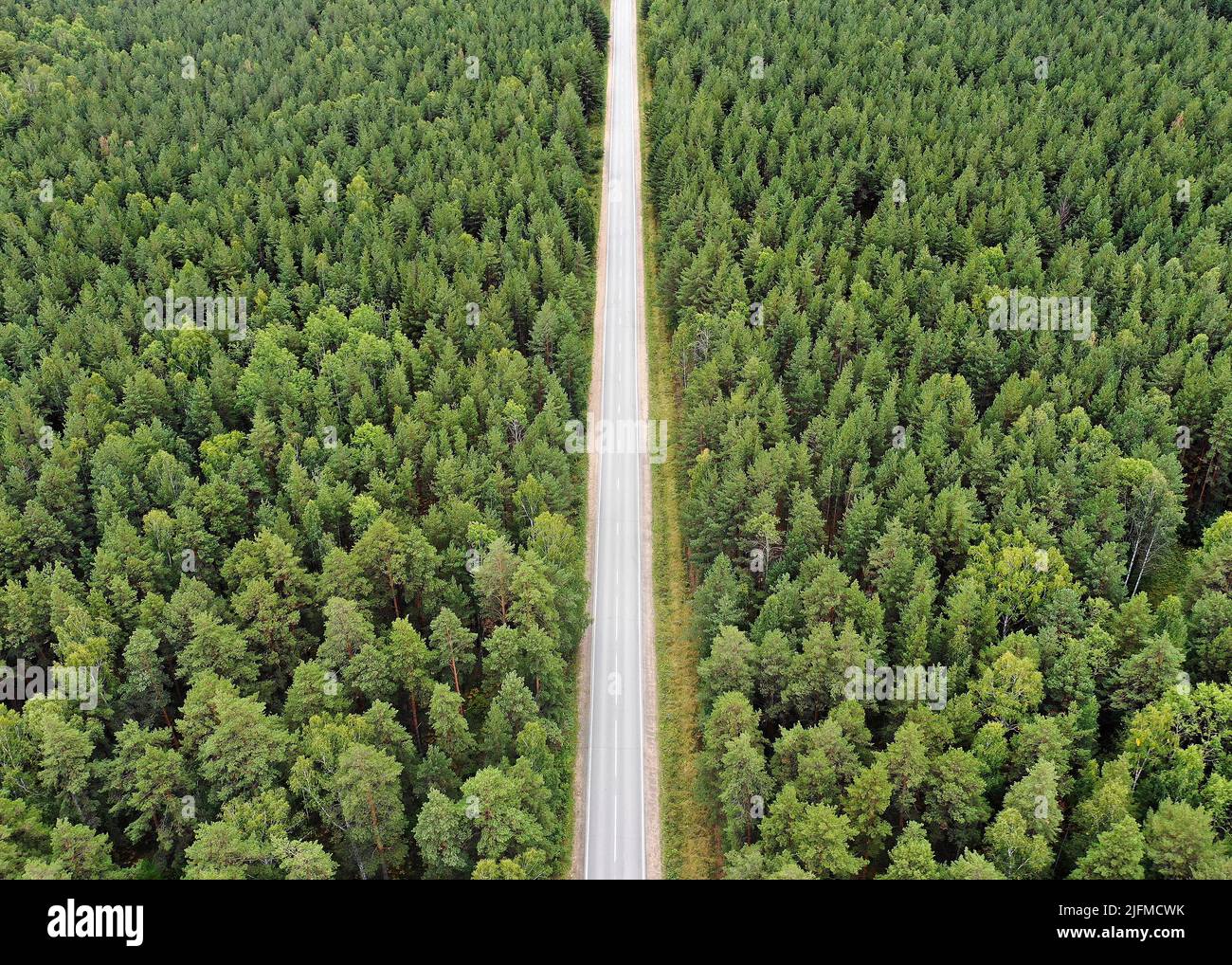 Aerial view of a straight road in a green forest. Travel concept Stock ...