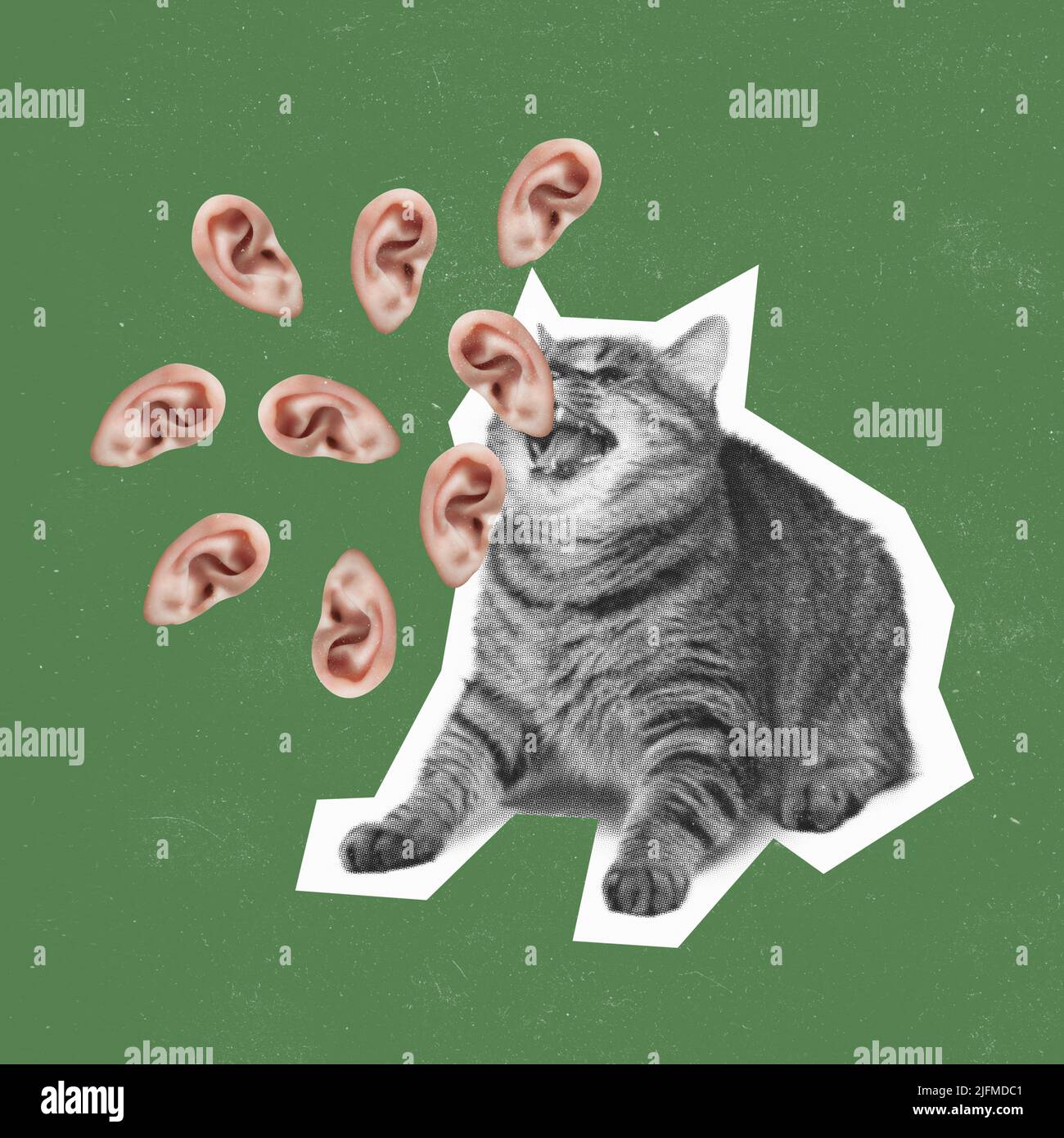 Contemporary art collage. Conceptual image with cat surrounded by many ...