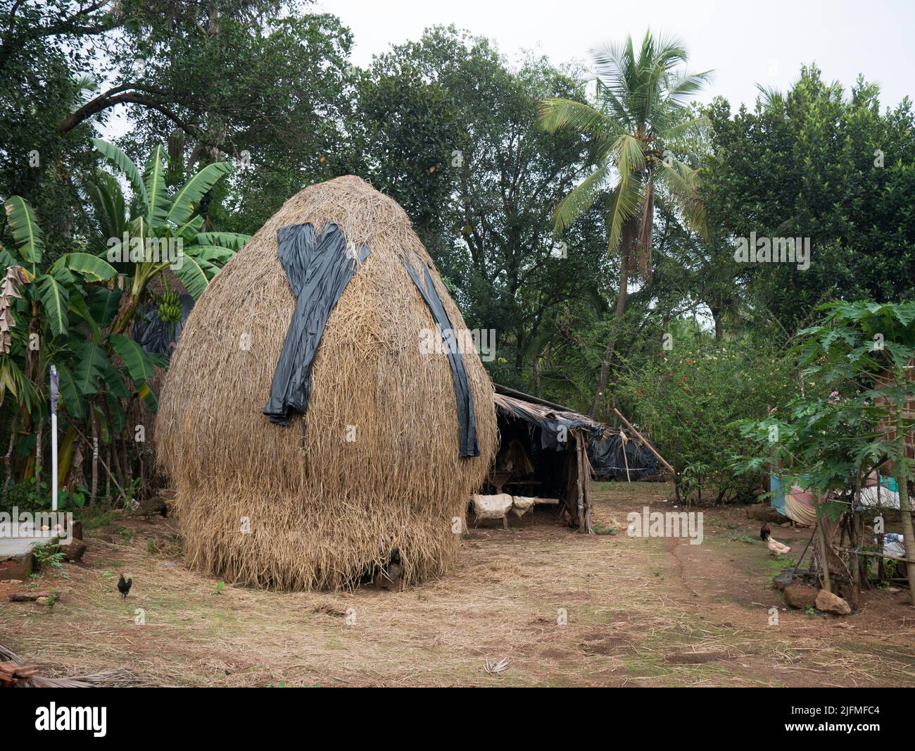 Stockpiling hay for the winter to feed cattle at village Zarap district ...