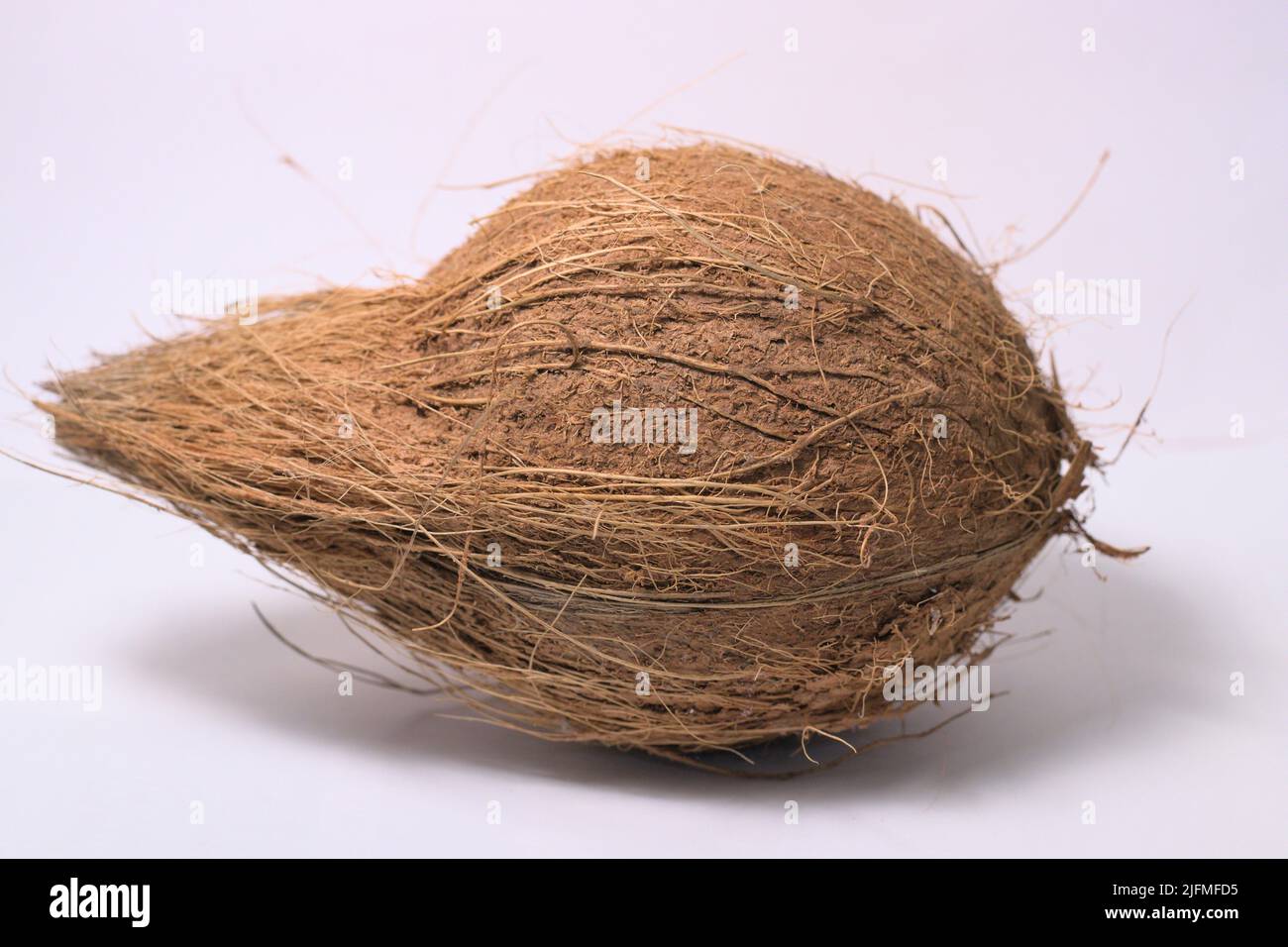 Isolated natural coconut with coir on white background Stock Photo - Alamy