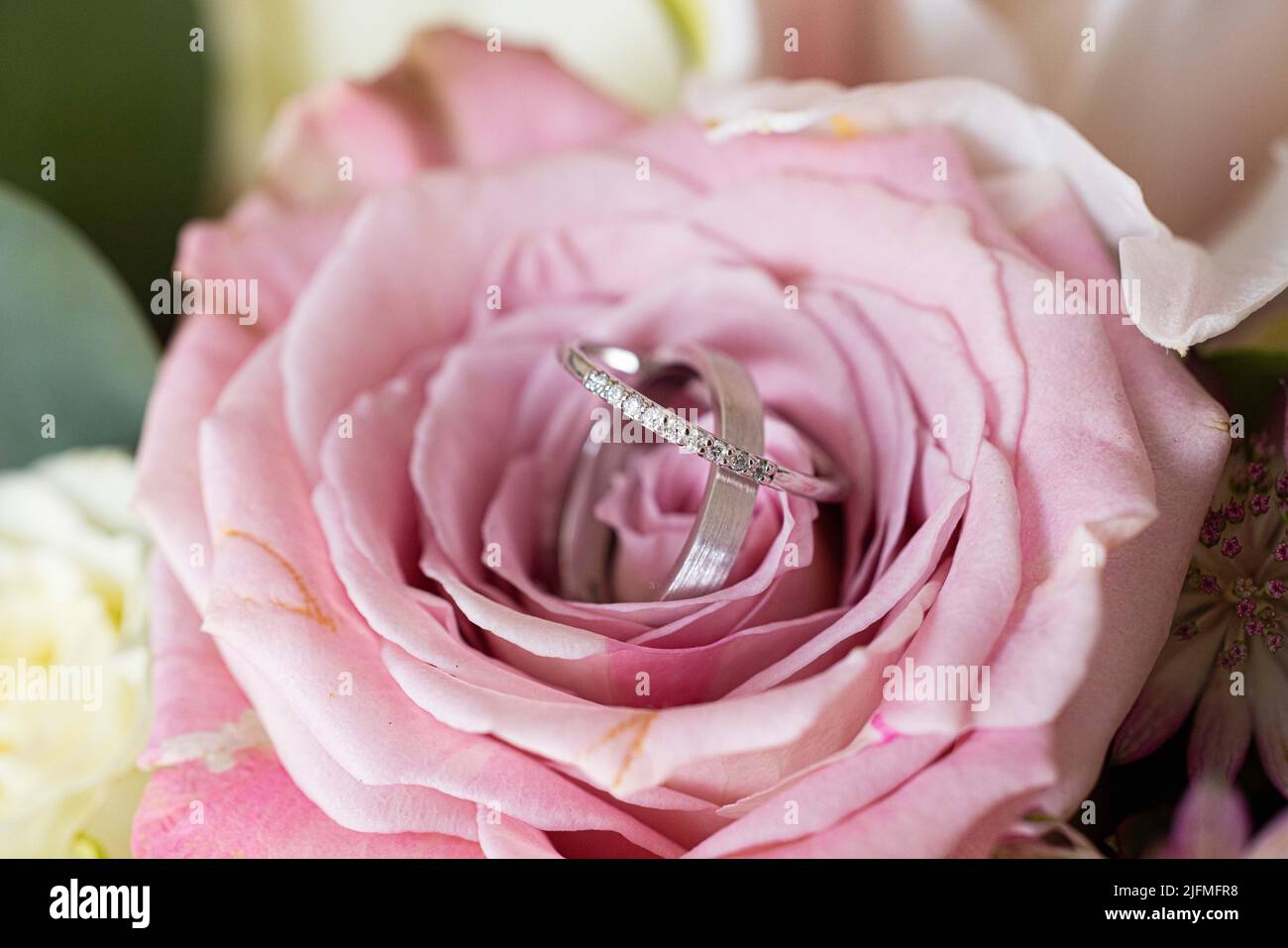 Pink flower engagement rings hi-res stock photography and images - Alamy