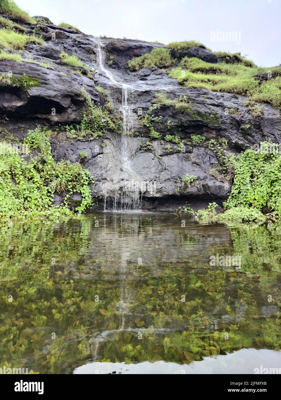 A vertical shot of waterfall on mossy caves in Ellora caves in Verul ...
