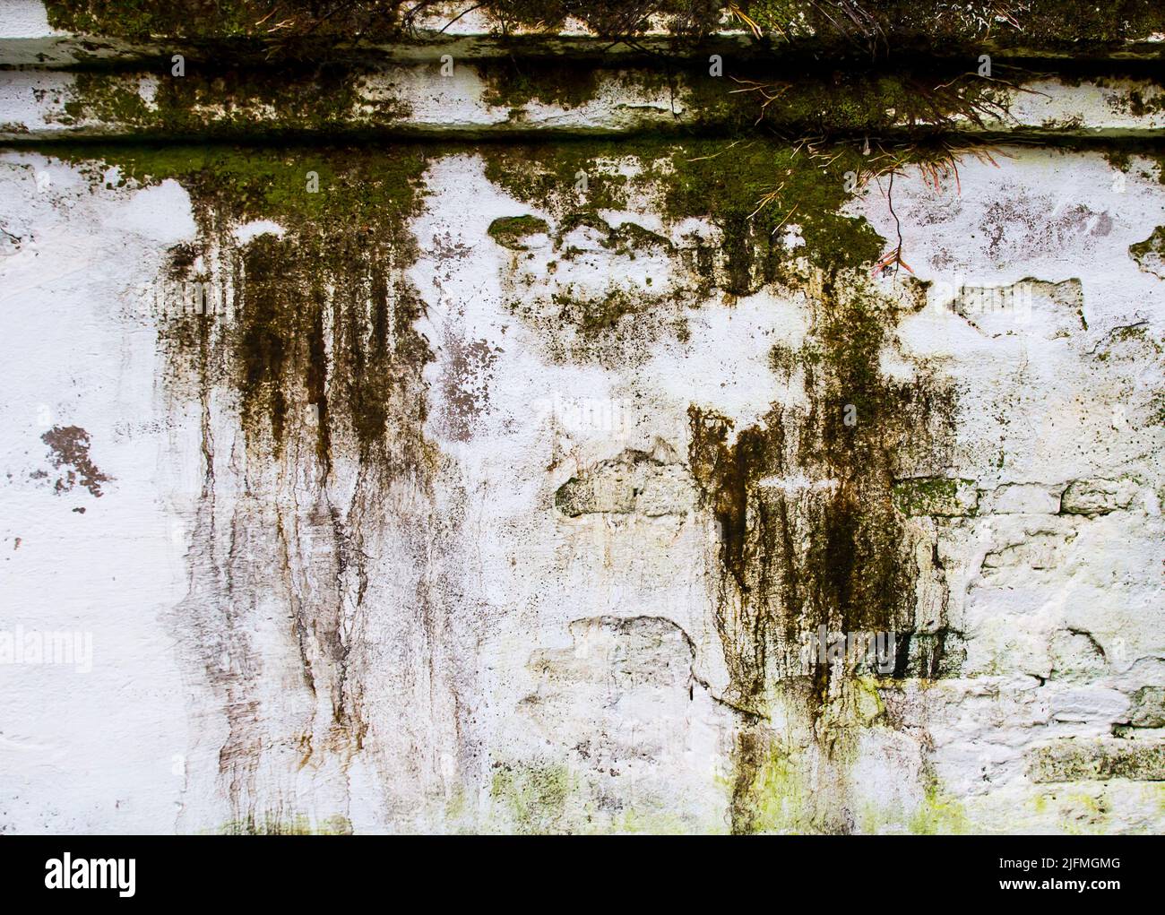Grunge background and texture for any design Stock Photo - Alamy