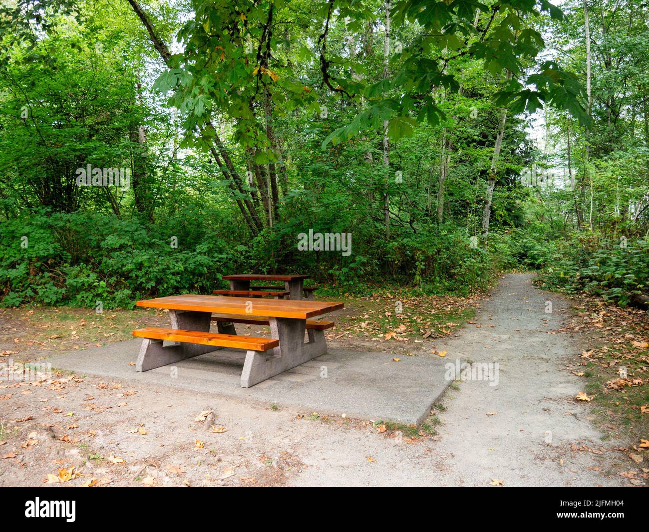 Recreation area under the trees with gravel pathway leading to a park ...