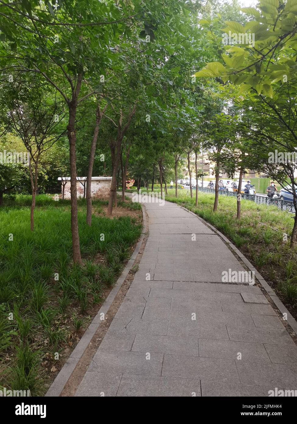 A vertical shot of a pathway in a park during the day Stock Photo - Alamy