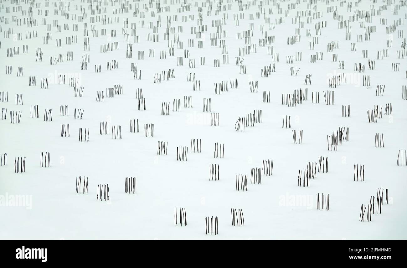 Frozen construction foundation fittings sticking out from under the ...