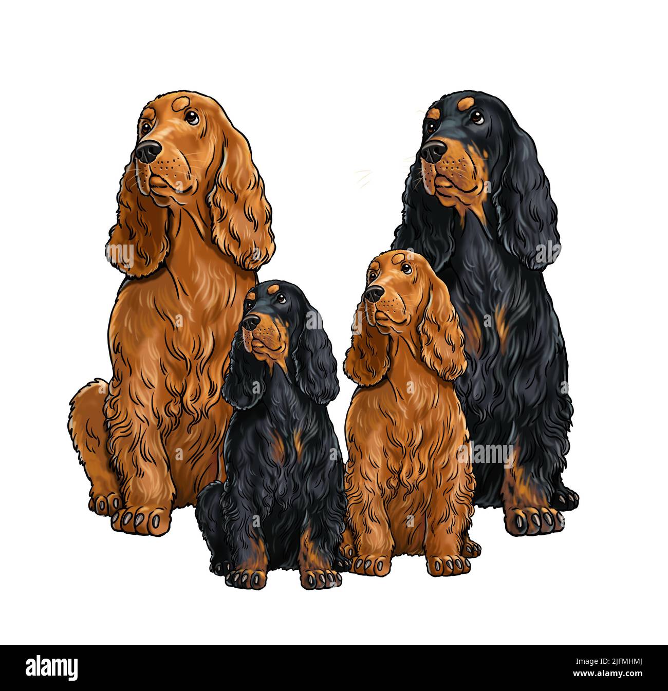 English Cocker Spaniel family. Drawing for coloring book. Isolated ...