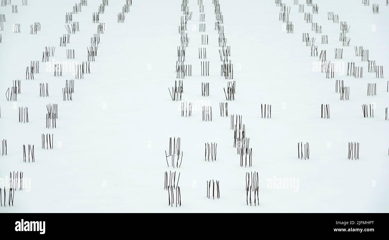 Frozen construction foundation fittings sticking out from under the ...