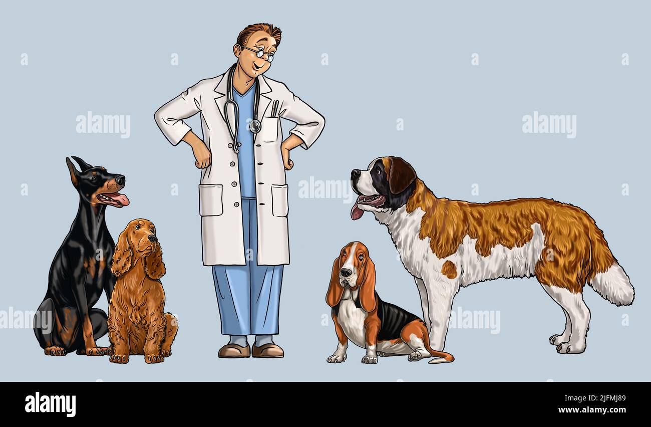 Friendly vet and his patients. Veterinarian with dogs illustration ...
