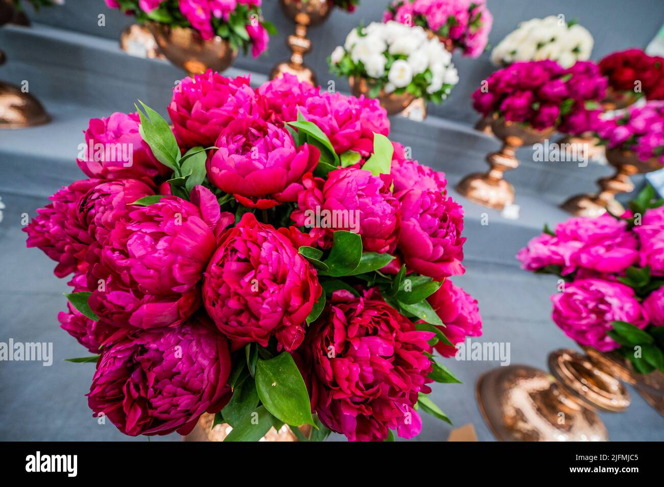 London, UK. 4th July, 2022. Primrose Hall peonies, a gold medal winning ...