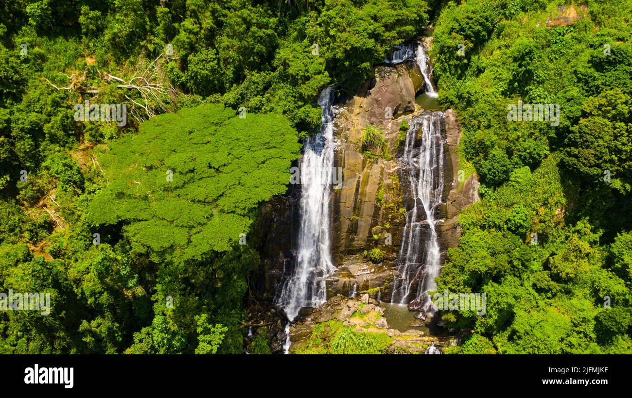 Jungle Waterfall in a tropical forest surrounded by green vegetation ...