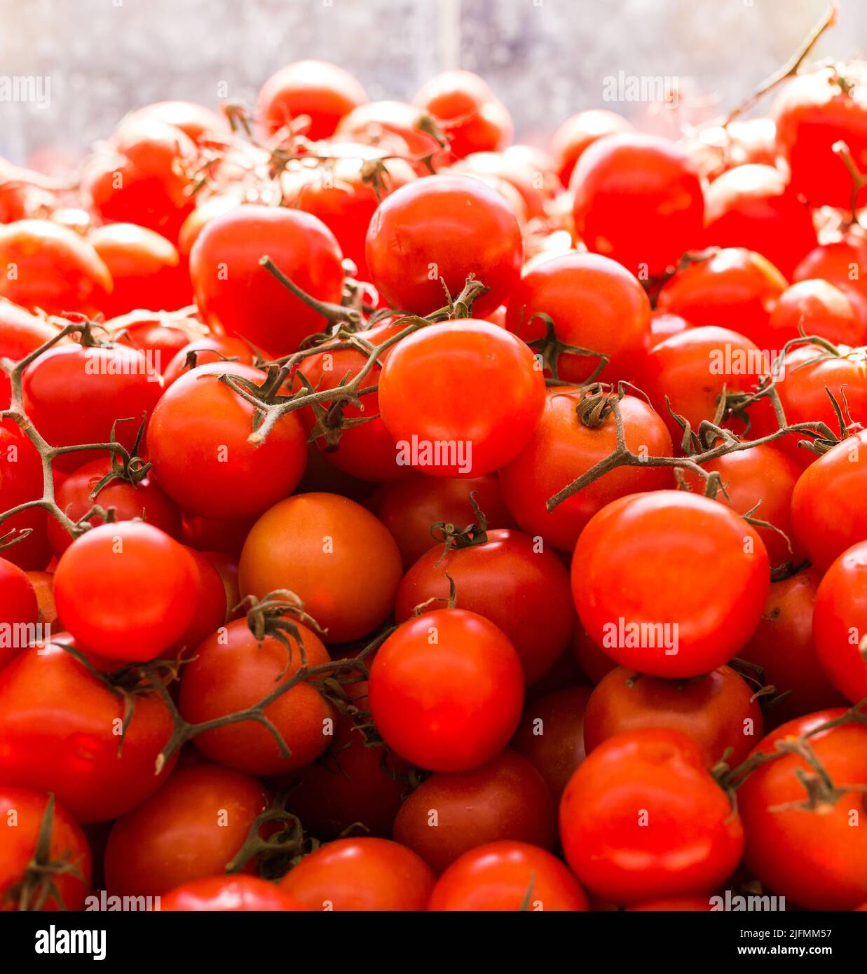 lots of tomatoes on a branch on counter Stock Photo - Alamy