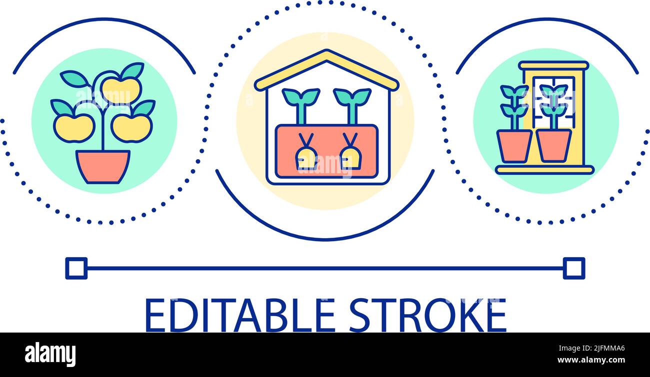 Indoor plant growing thin Cut Out Stock Images & Pictures - Alamy