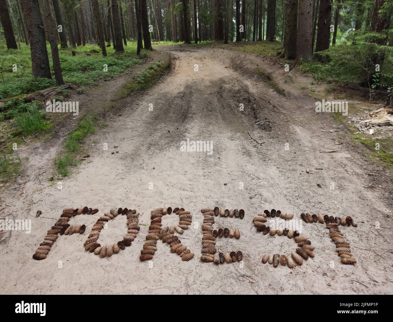 Word forest hi-res stock photography and images - Alamy