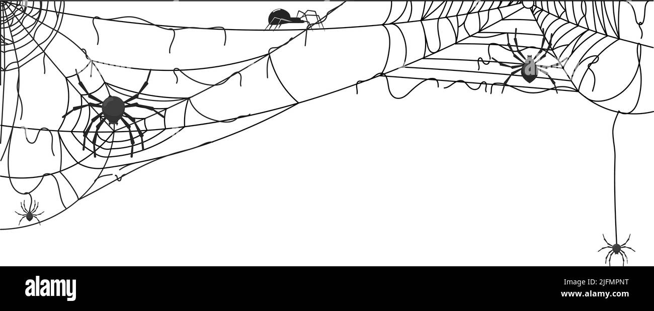 Cobweb banner. Halloween black web and spider background. Cartoon ...