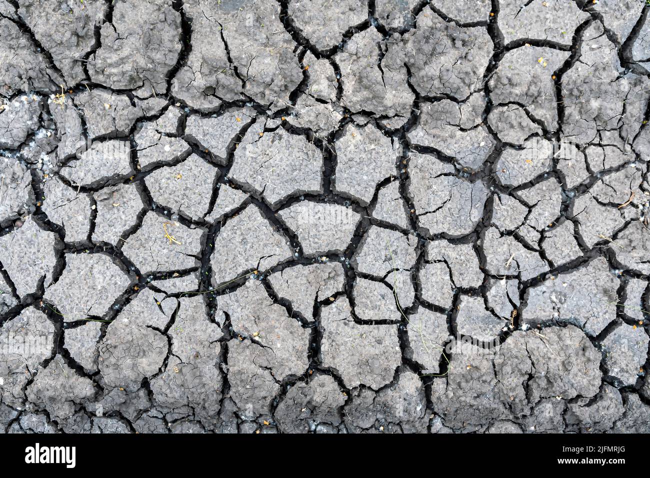 Dry cracked surface of an earthen unpaved rural road with traces of ...