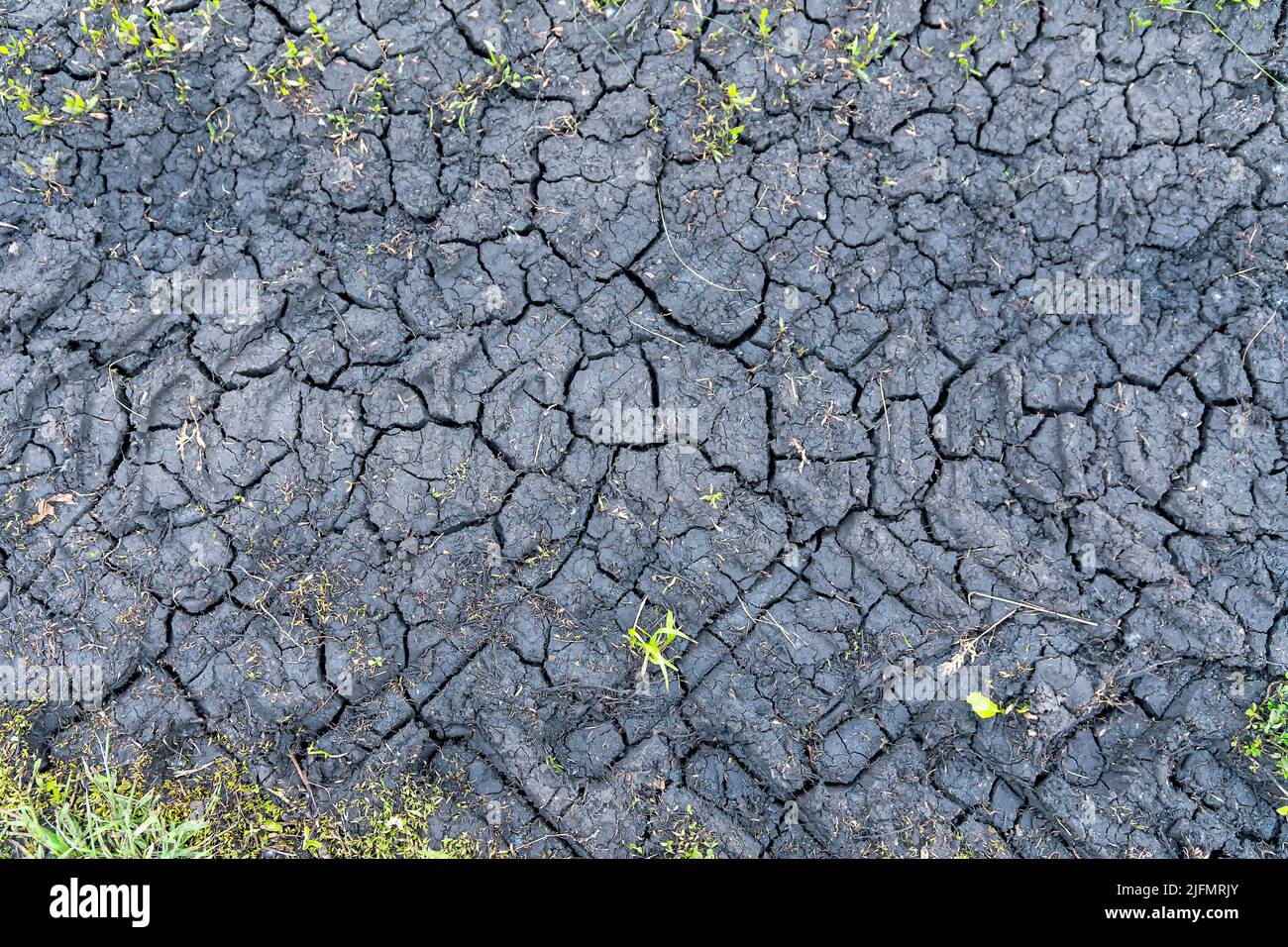 Dry cracked surface of an earthen unpaved rural road with traces of ...