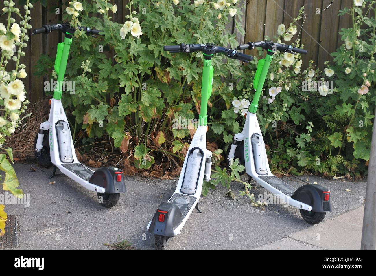 Copenhagen /Denmark/04 July 2022/Electric scooters riders in danish ...