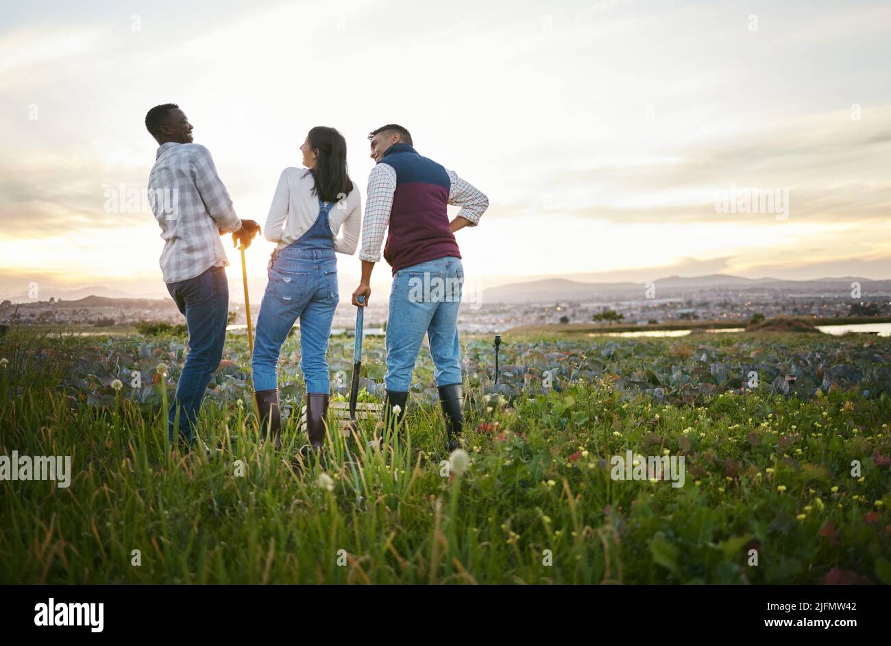 Young farmers standing on a field with rakes, enjoying their break ...