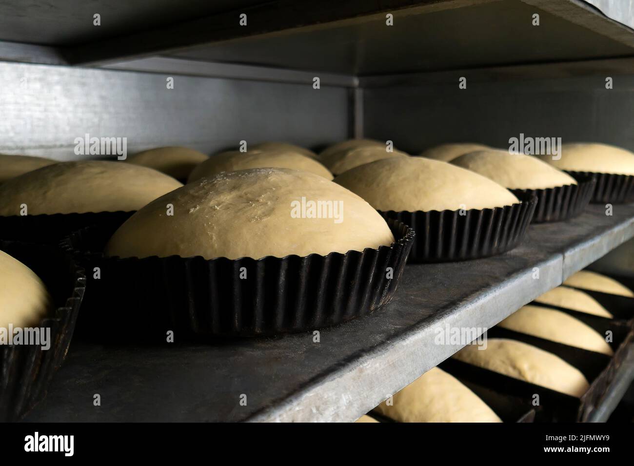 Close-up of bread dough in round iron molds. Dough in the molds fits to ...