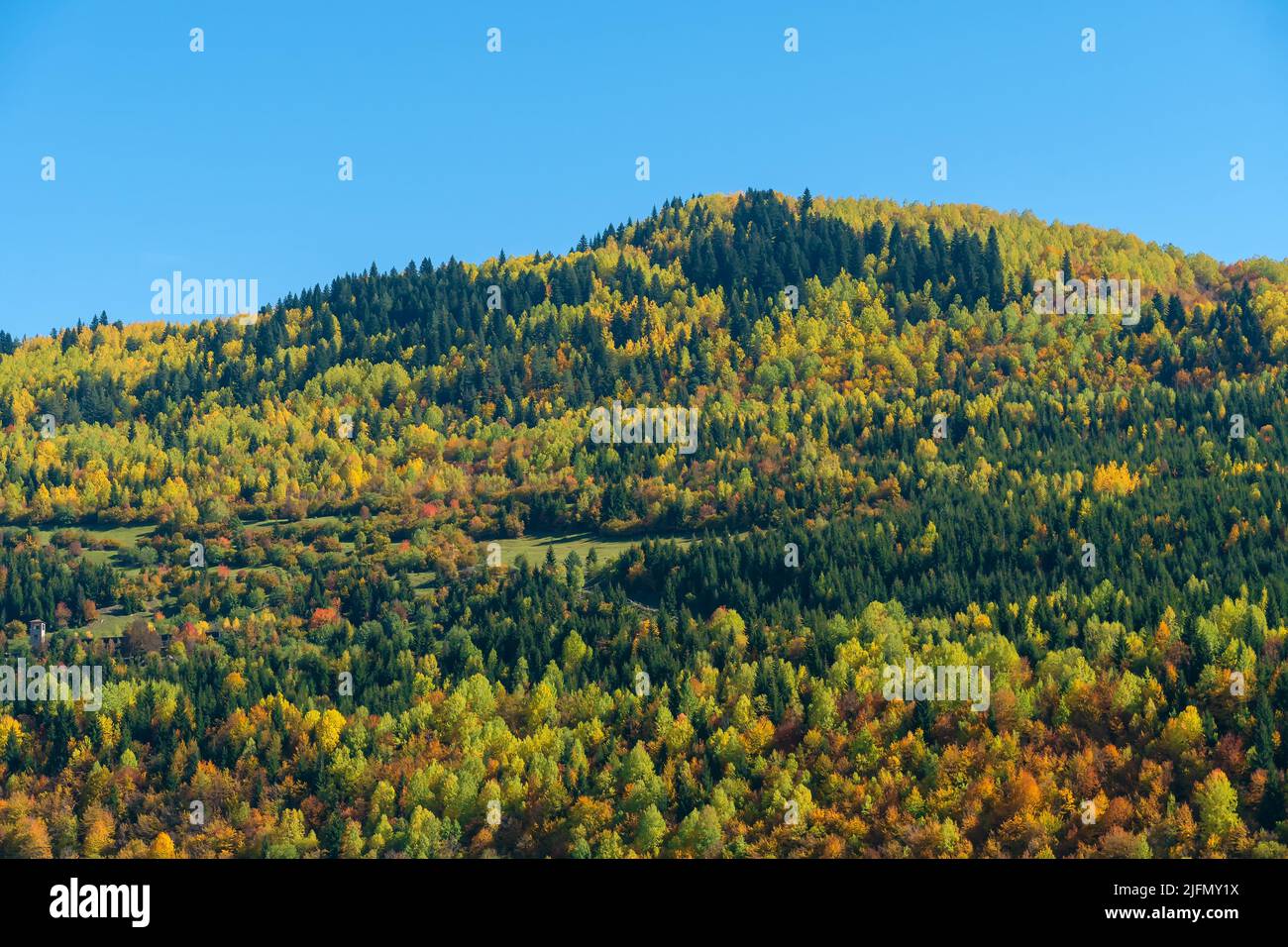 Beautiful delightful autumn landscape of mixed forest in the mountains ...