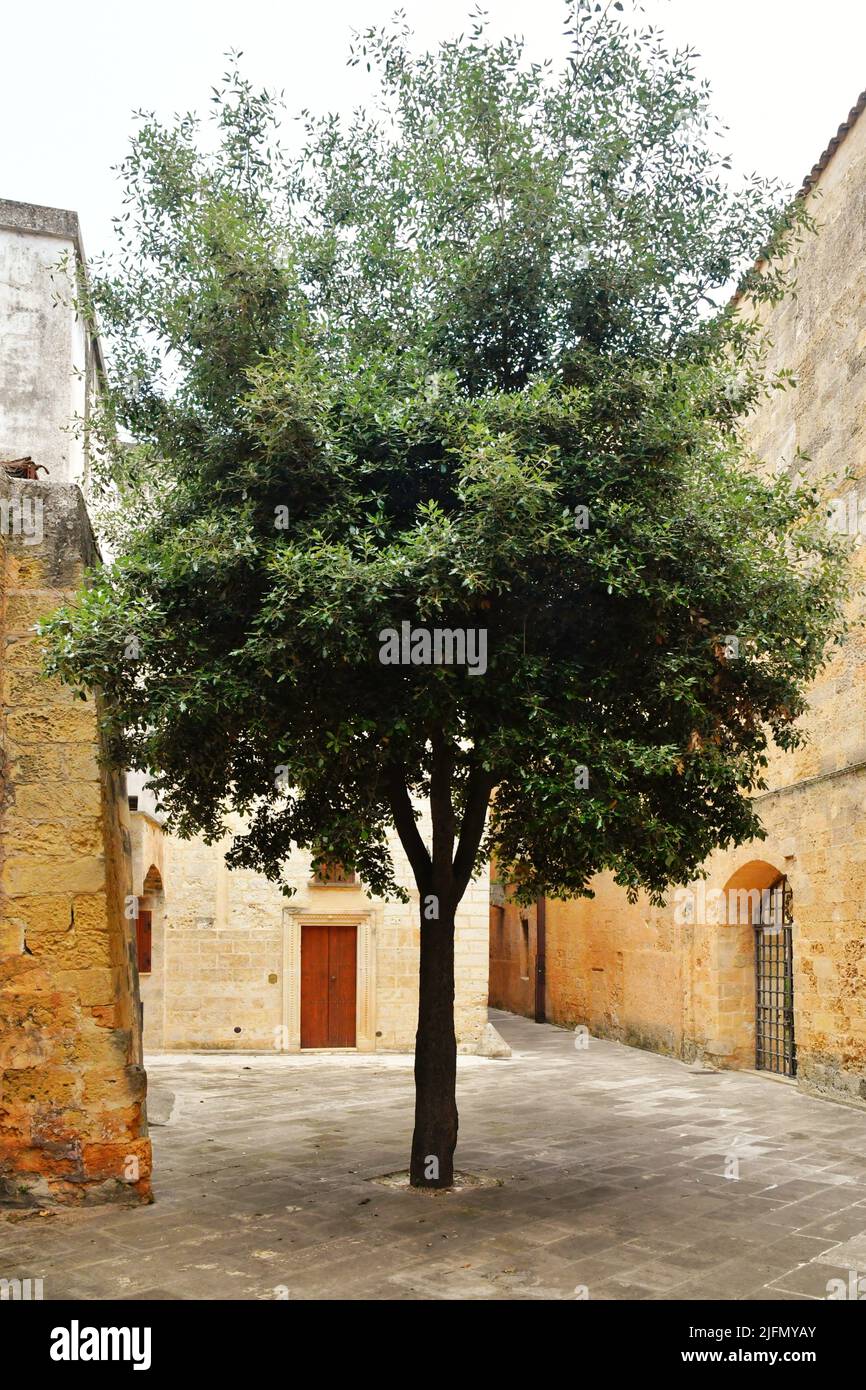 A street in the historic center of Tricase, a medieval town in the ...