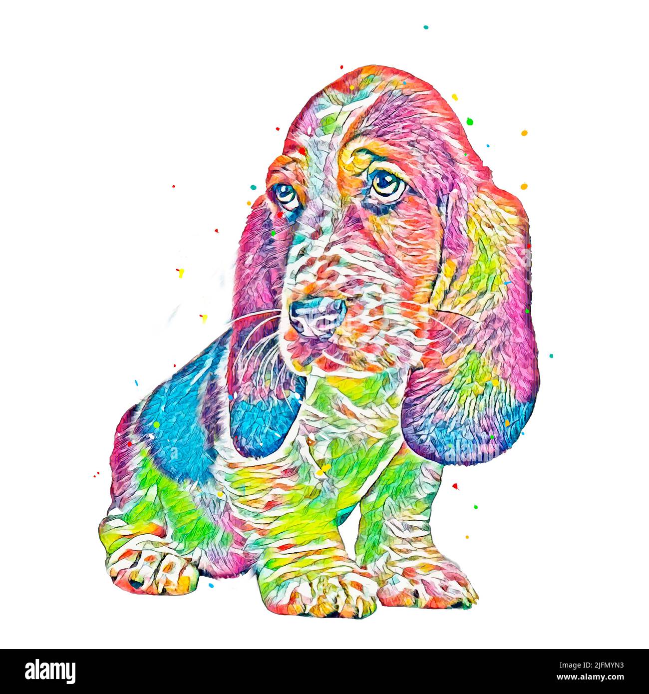 An illustration portrait of colorful sad Basset Hound dog on white ...