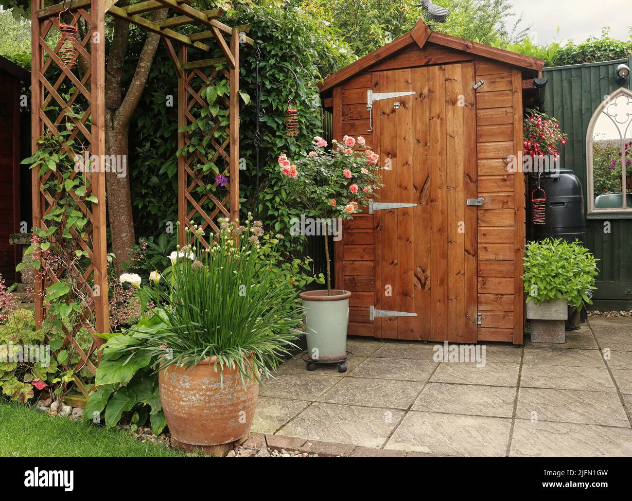 English back garden in Summer with shed, archway and water butts and ...