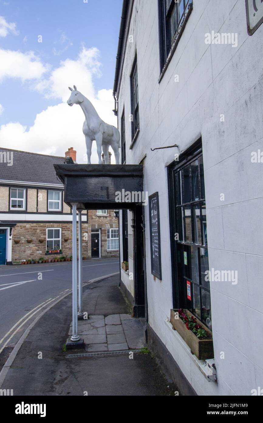 BAMPTON, DEVON, UK - APRIL 7, 2022 side view of The White Horse In on ...