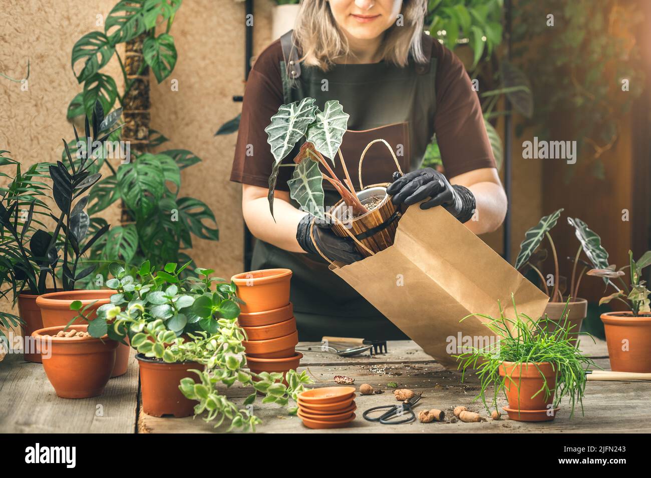 Female Shop Assistant packing plants into the paper bags for the ...