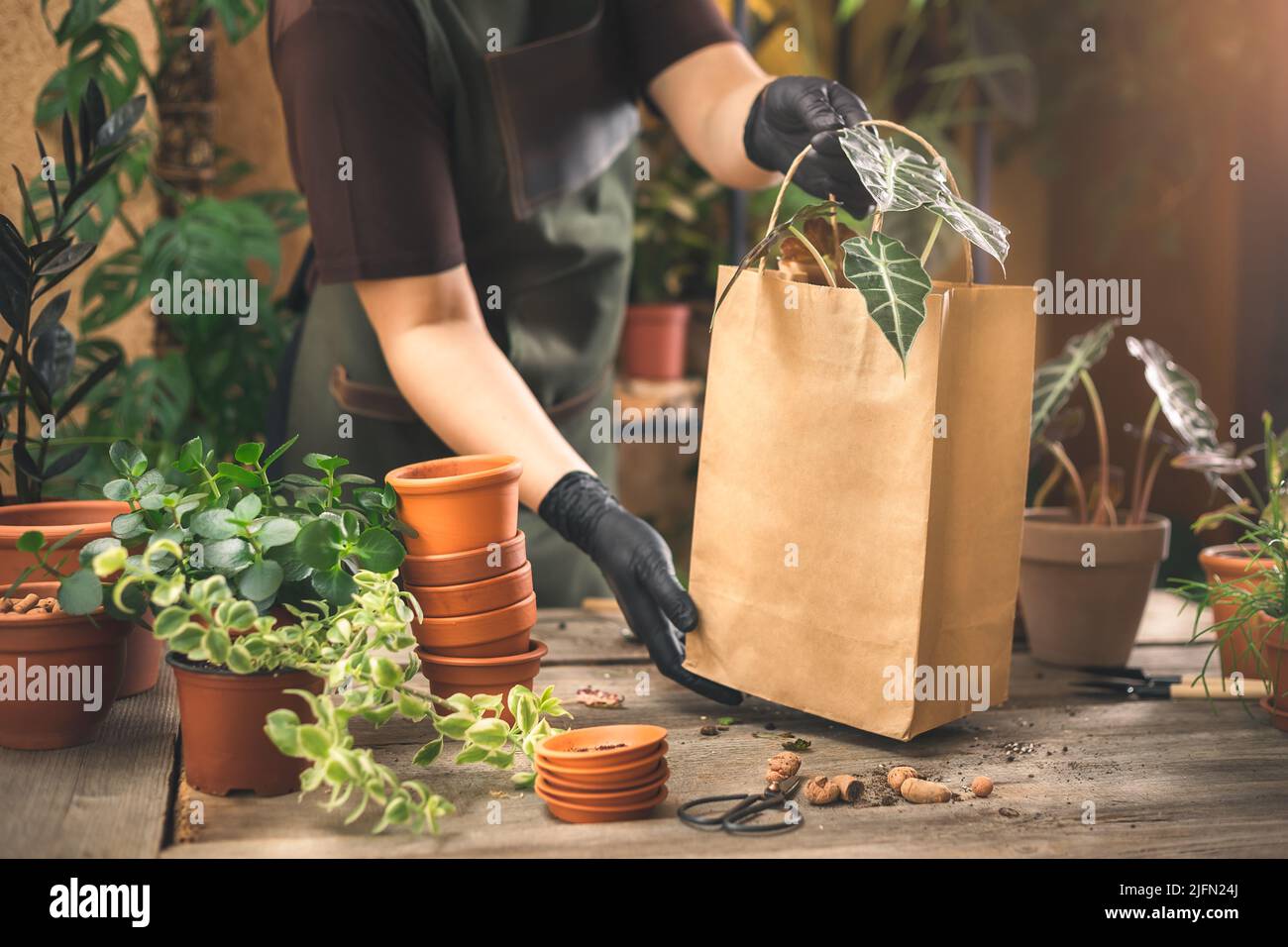 Female Florist at the flower shop holding the paper bag with plants for ...