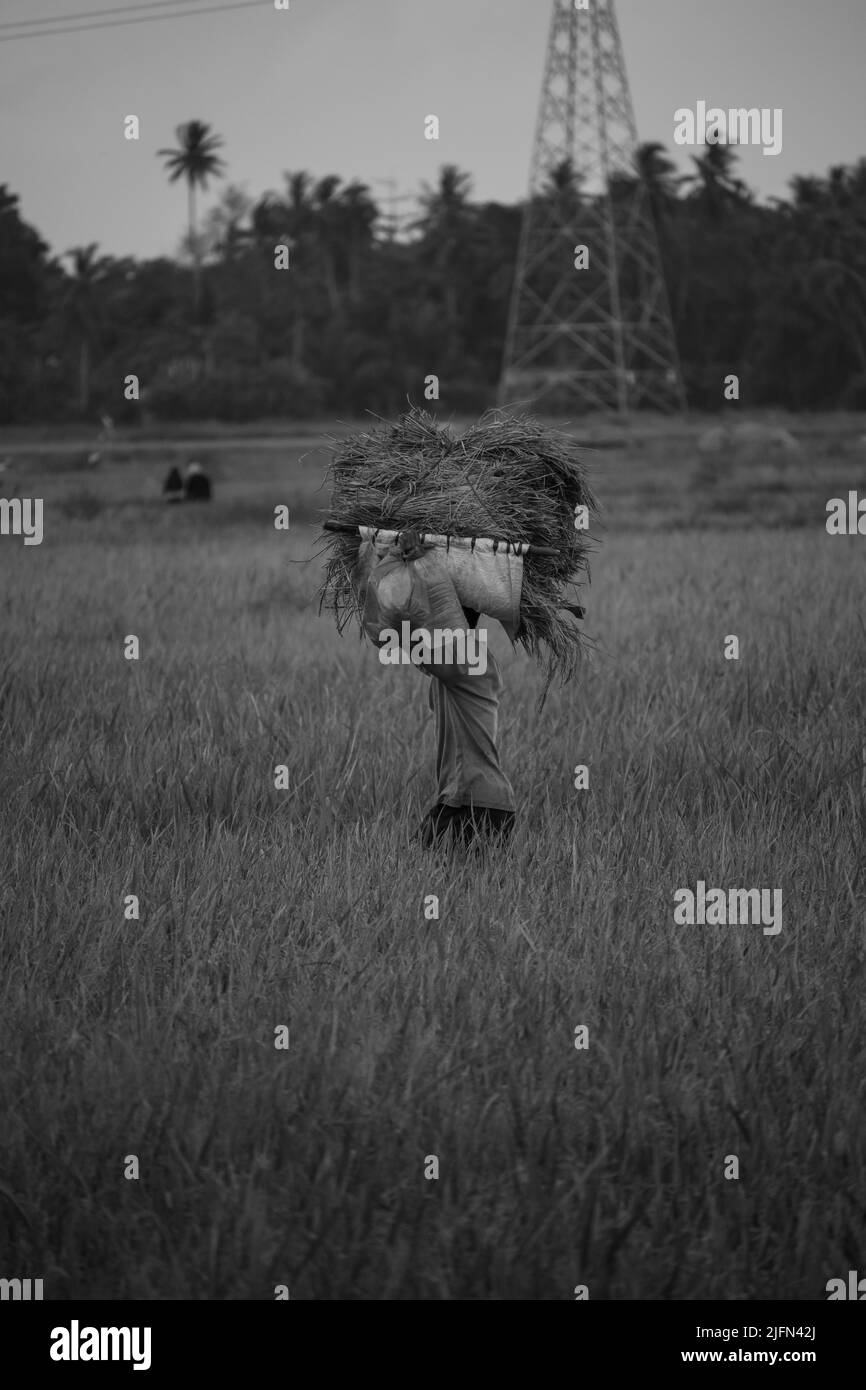 Environment transporting Black and White Stock Photos & Images - Alamy