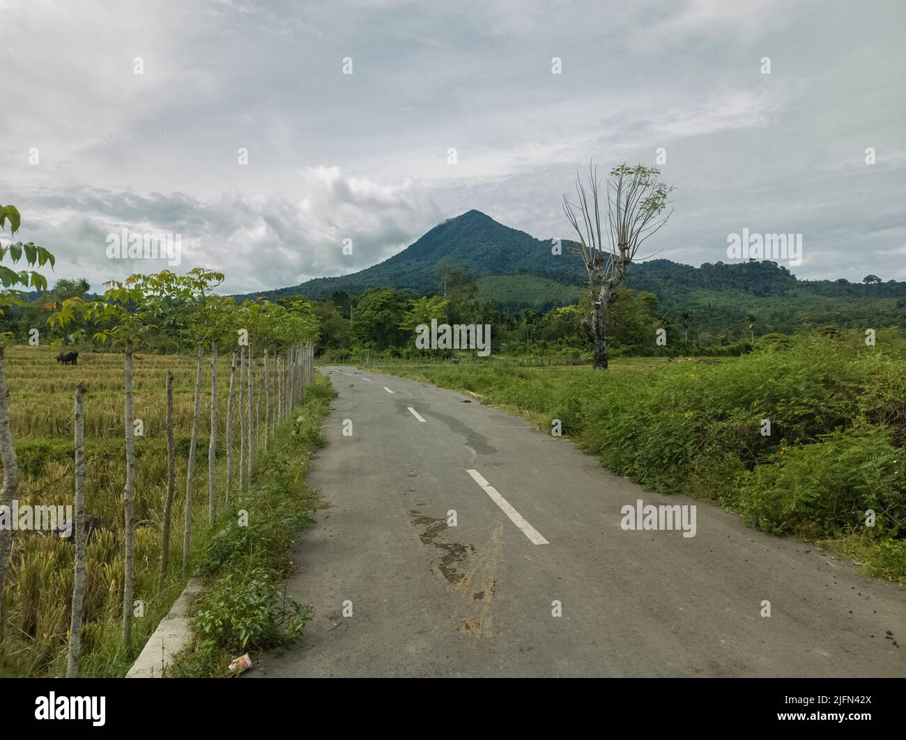 Aerial view of Mount Seulawah Agam, Aceh Besar, Aceh Stock Photo - Alamy