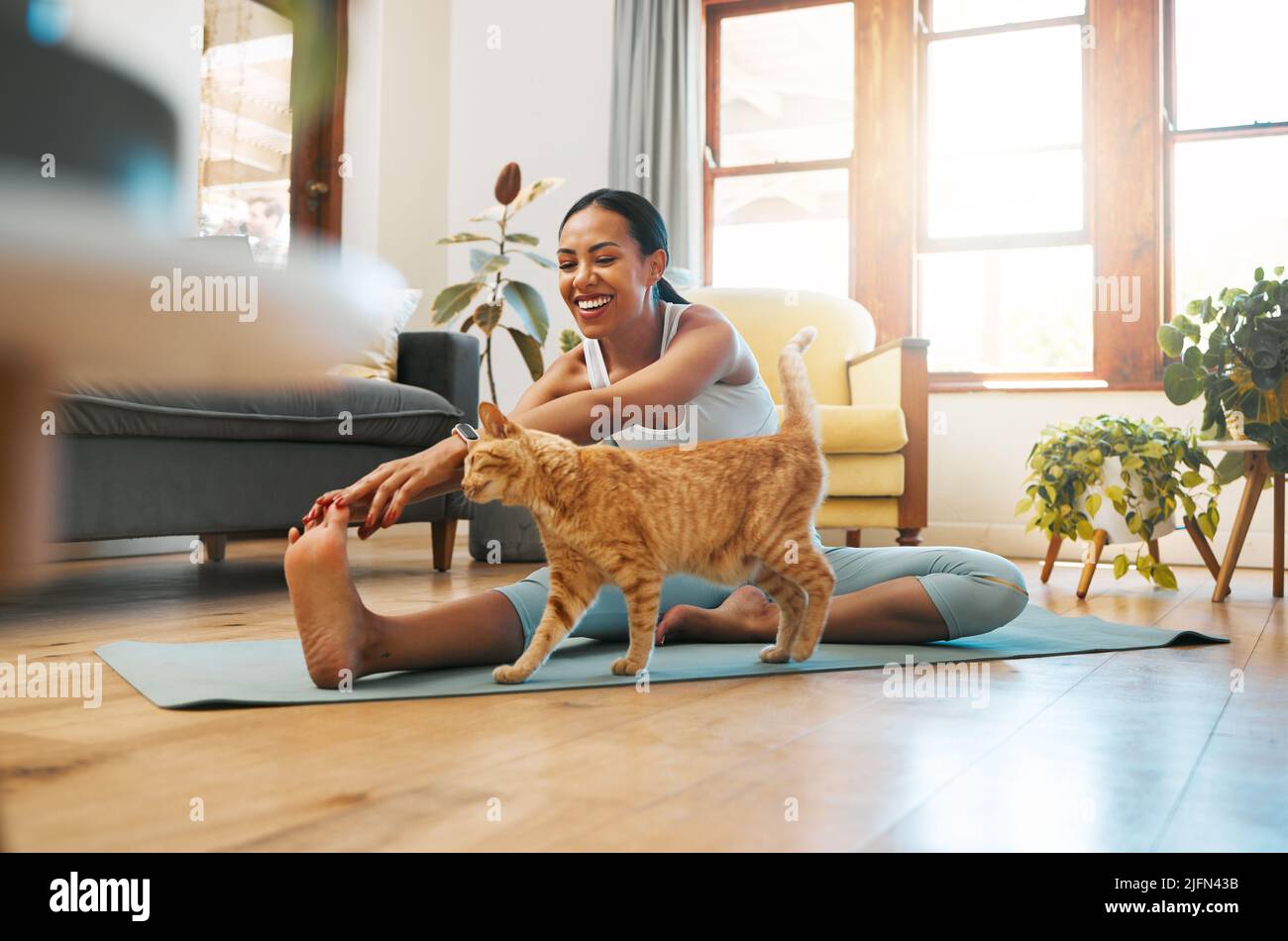 Lovely furry friend train hi-res stock photography and images - Alamy