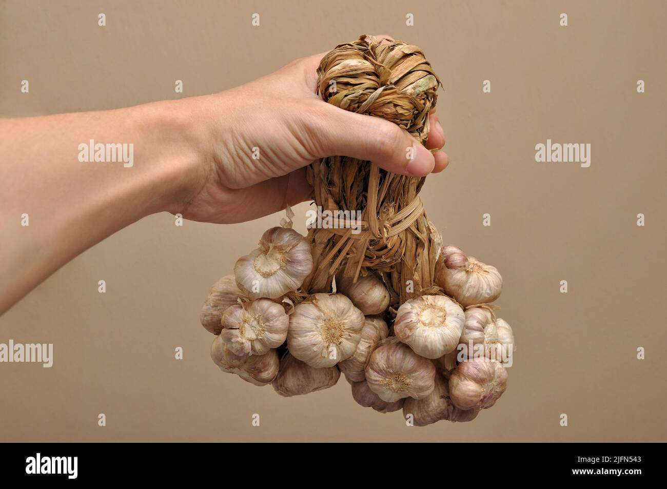 Hand holding a bunch of garlic, compound bulb on the table Stock Photo ...