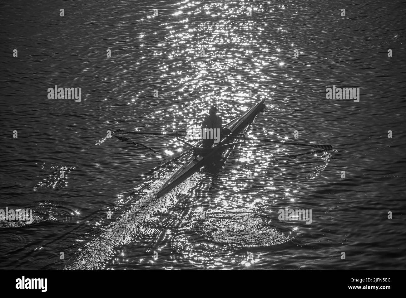 Water filed Black and White Stock Photos & Images - Alamy
